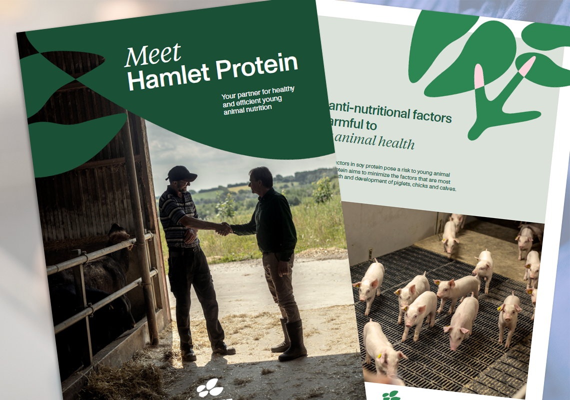 Getting to know Hamlet Protein